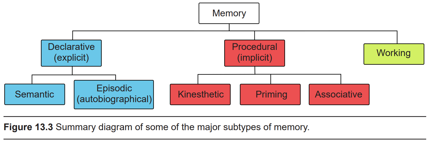 Chapter 13: Learning & Memory – Open Neuroscience Initiative